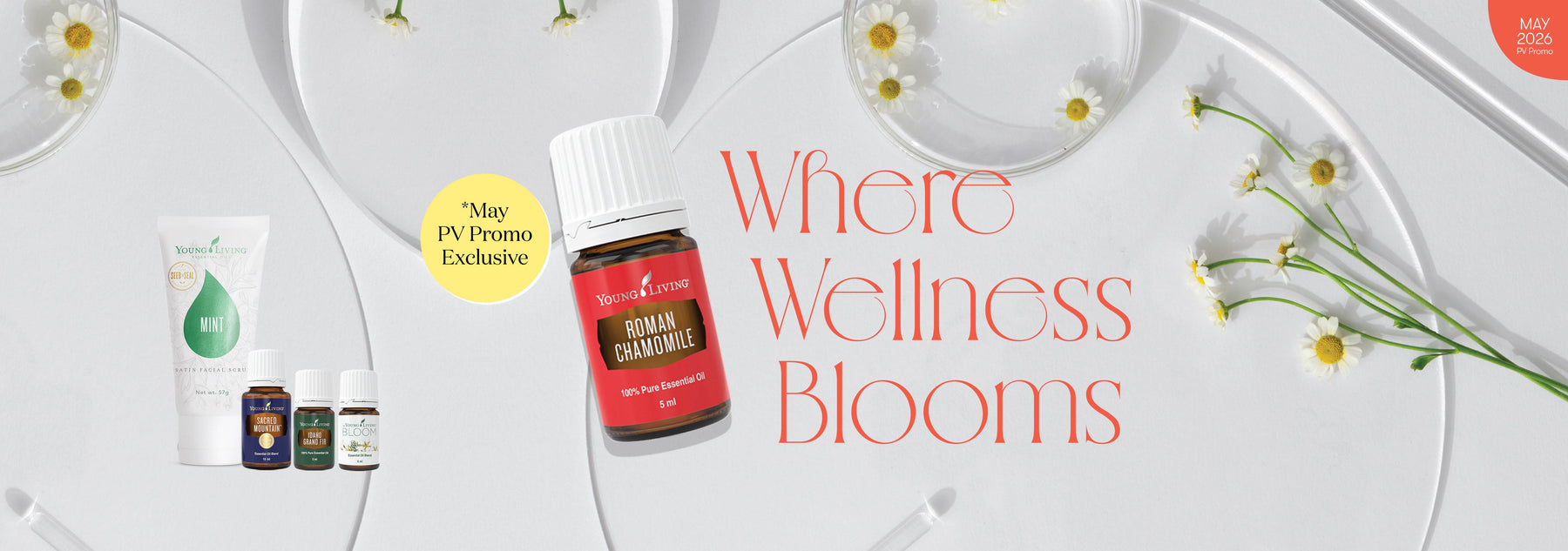 Current Promotions – Young Living Malaysia